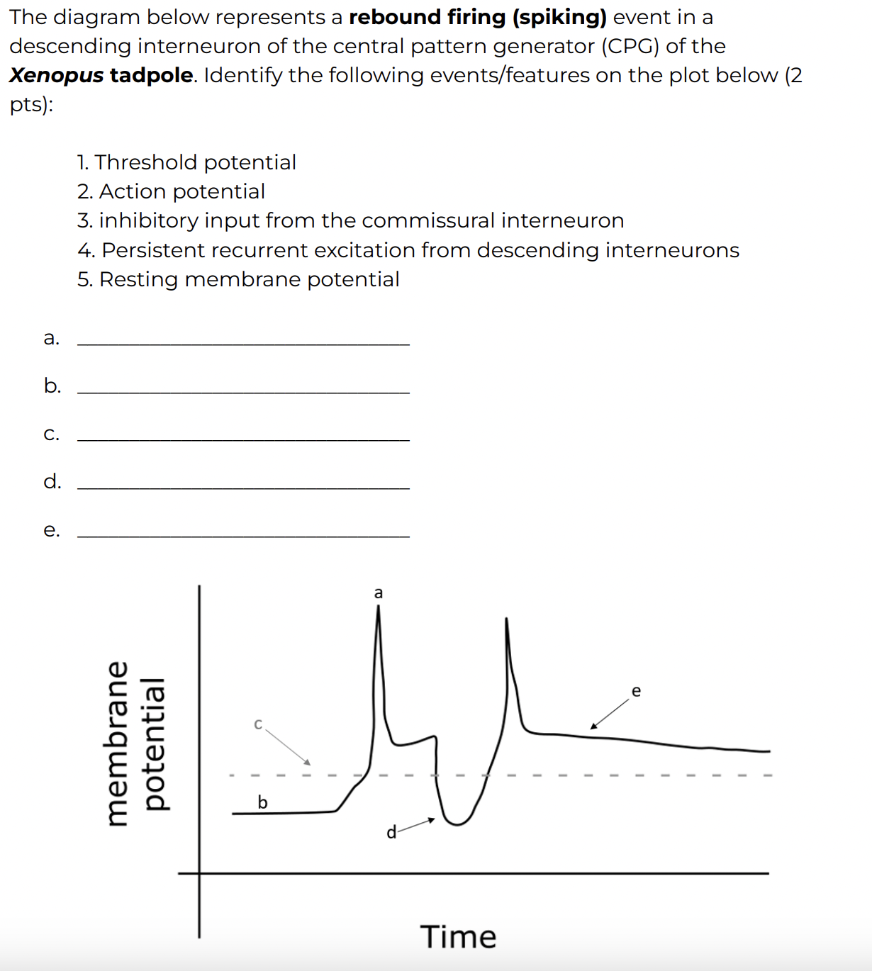 Solved The diagram below represents a rebound firing | Chegg.com
