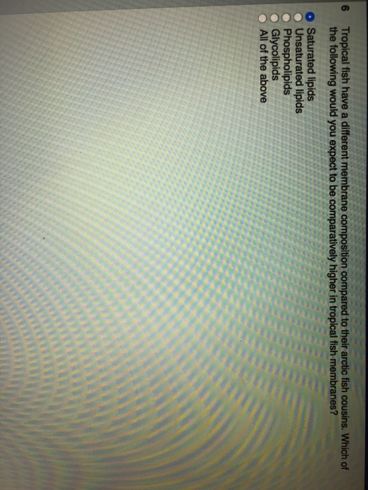 Solved 6 Tropical fish have a different membrane composition | Chegg.com