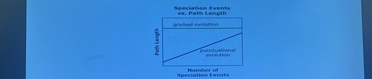Solved This graph shows the path length based on the number | Chegg.com
