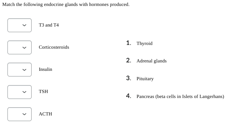 Solved Match the following endocrine glands with hormones | Chegg.com