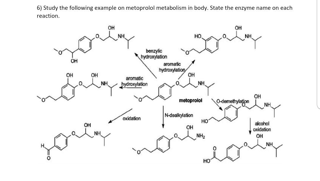6) Study the following example on metoprolol | Chegg.com