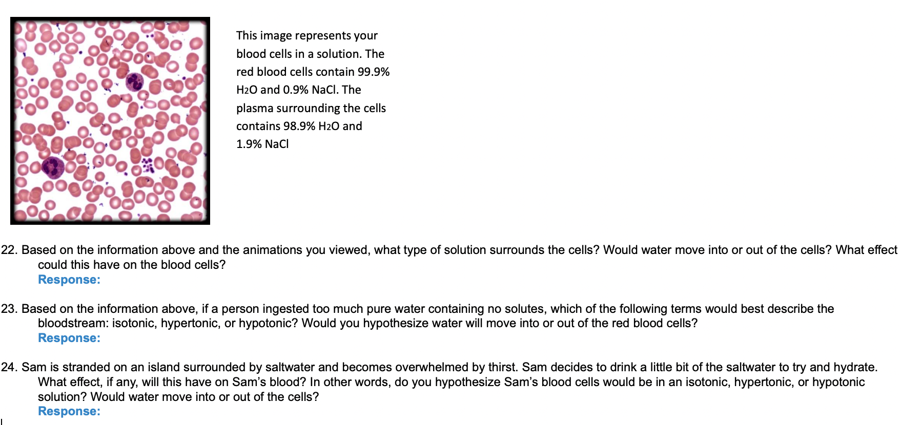 Solved This image represents your blood cells in a solution. | Chegg.com