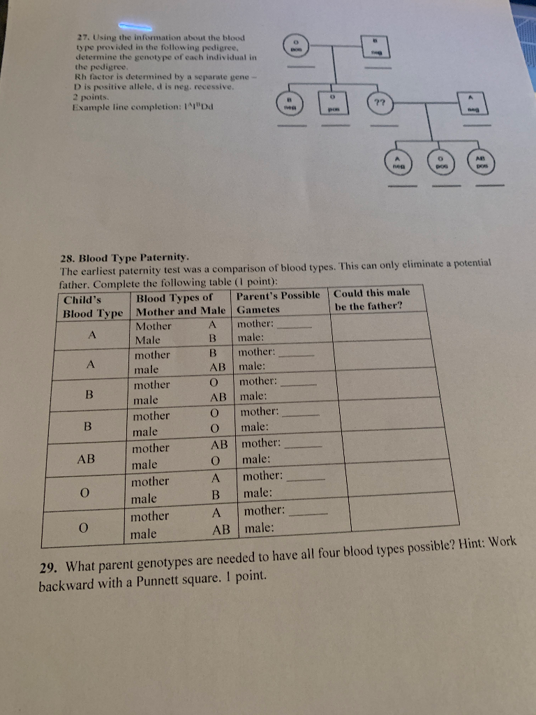 Solved 27. Using the information about the blood type | Chegg.com