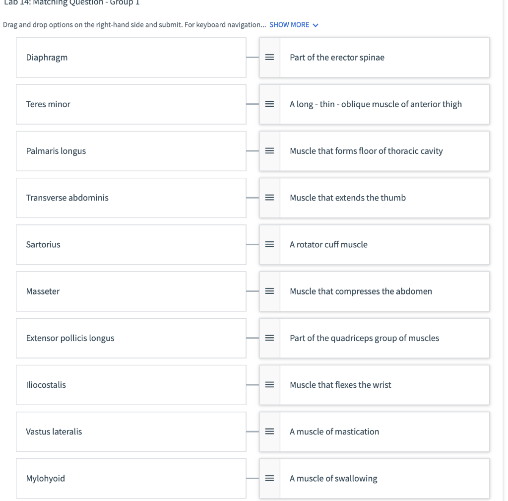 Solved Lab 14: Matching Question - Group 1 Drag and drop | Chegg.com