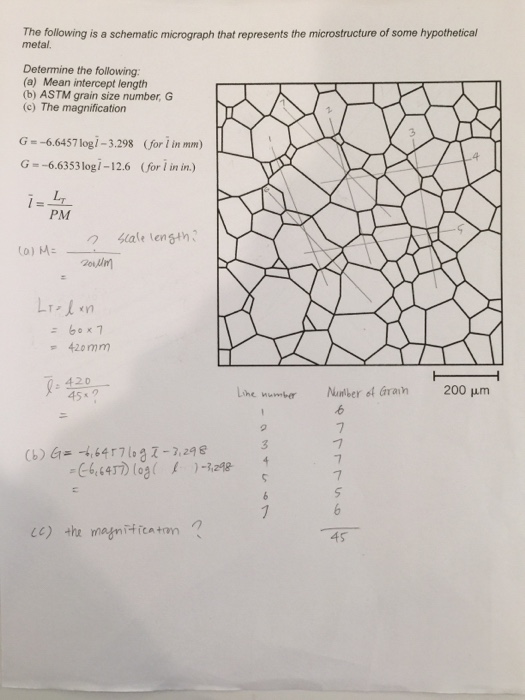 Solved The following is a schematic micrograph that | Chegg.com