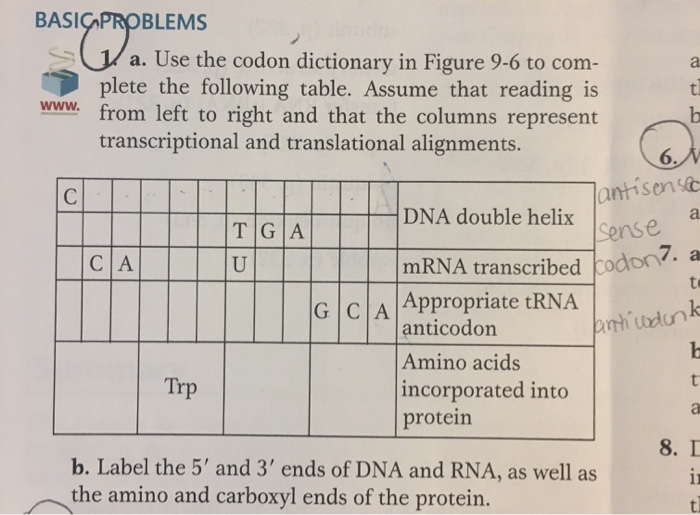 Solved BASI IGPROBLEMS a. Use the codon dictionary in Figure | Chegg.com
