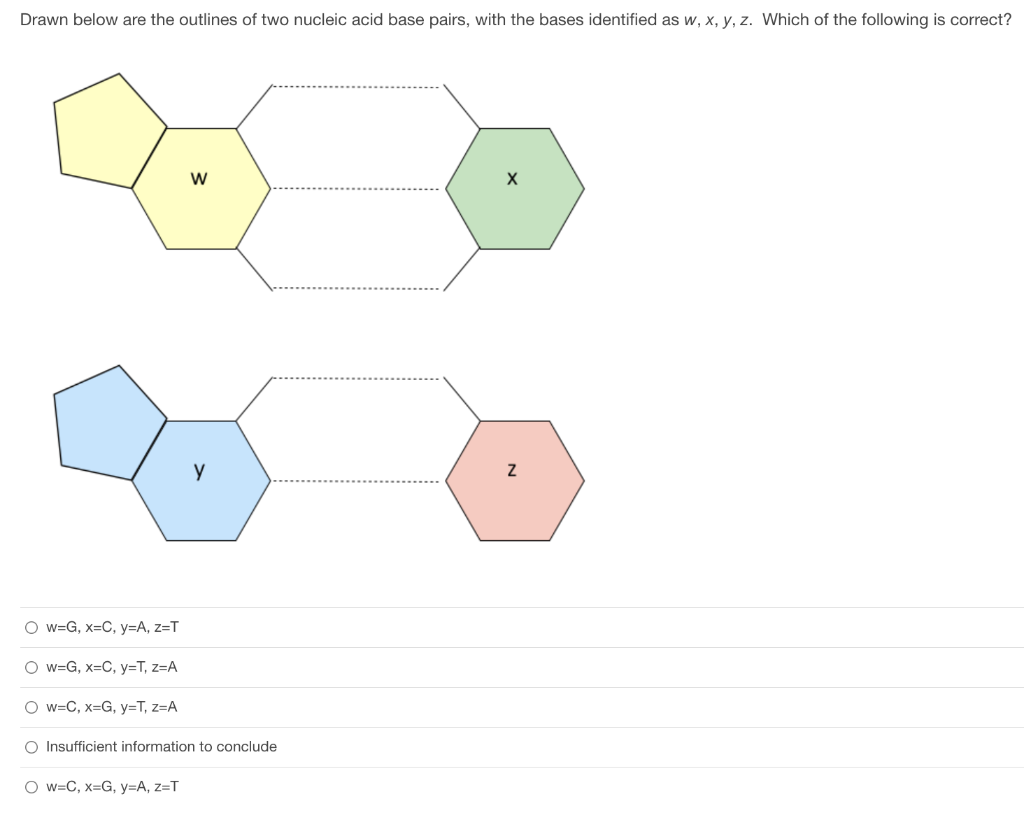 Solved Drawn below are the outlines of two nucleic acid base | Chegg.com