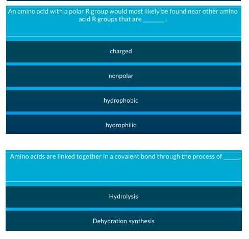 Solved An amino acid with a polar R group would most likely | Chegg.com