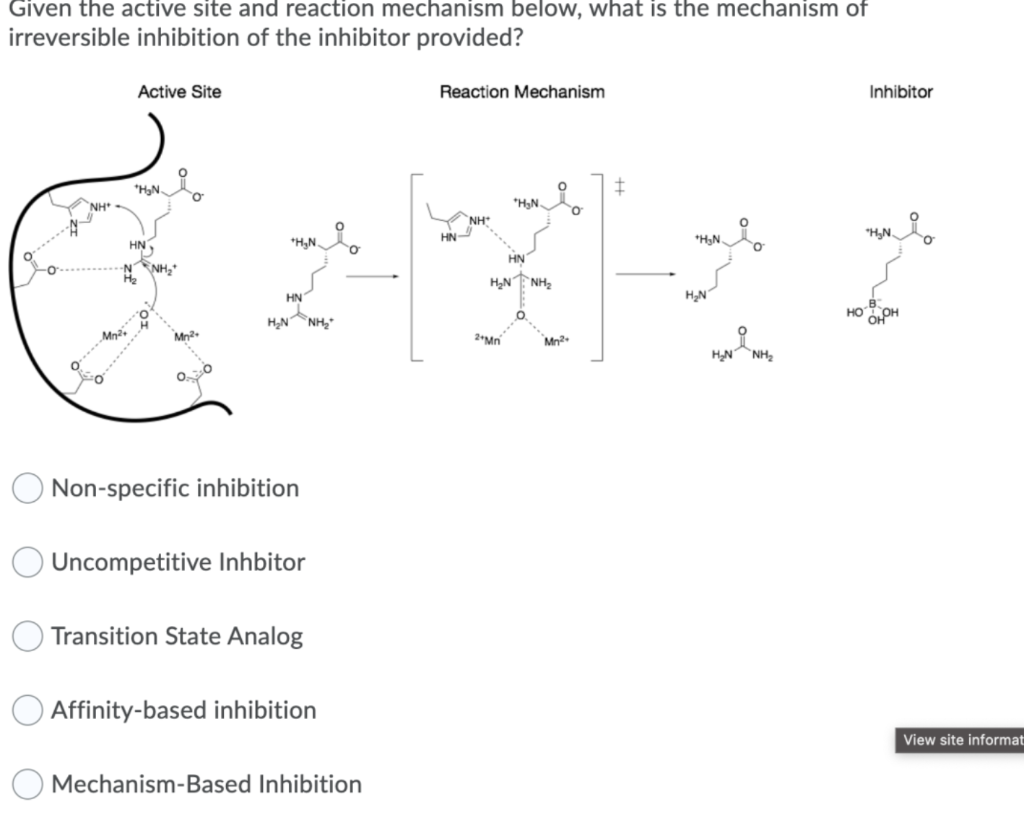 Solved Given the active site and reaction mechanism below, | Chegg.com