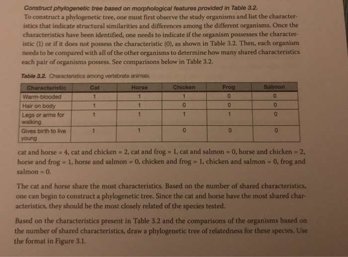 Solved Construct phylogenetic tree based on morphological | Chegg.com