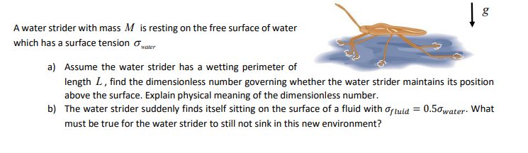Solved g A water strider with mass M is resting on the free | Chegg.com