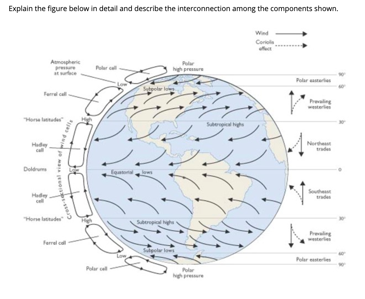 Solved Explain the figure below in detail and describe the | Chegg.com