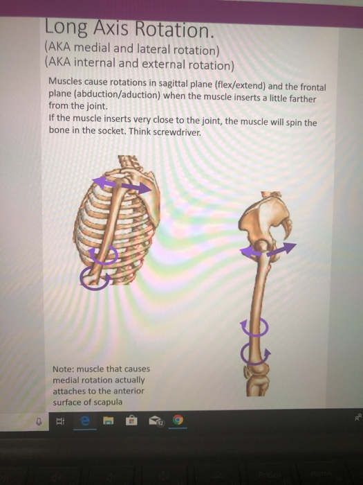 Long Axis Rotation. (AKA medial and lateral rotation) | Chegg.com
