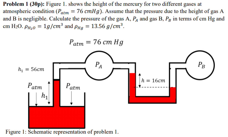 Solved Problem 1 (30p): Figure 1. shows the height of the | Chegg.com