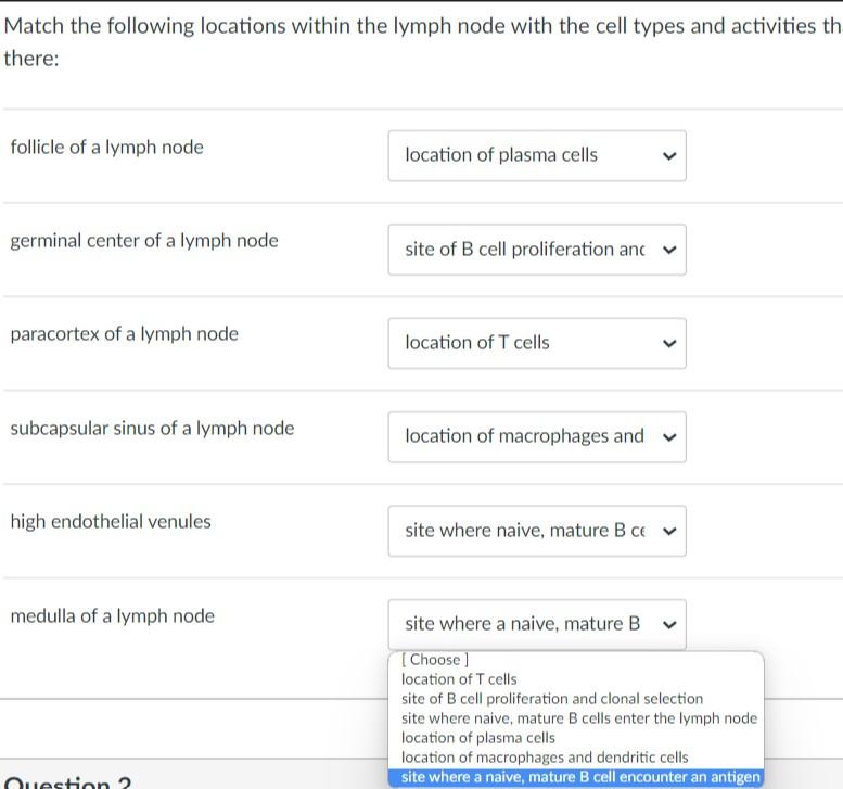 Solved Match the following locations within the lymph node | Chegg.com
