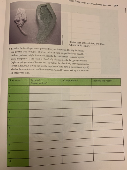 ossil Preservation and Trace Fossils Exercises 287 | Chegg.com
