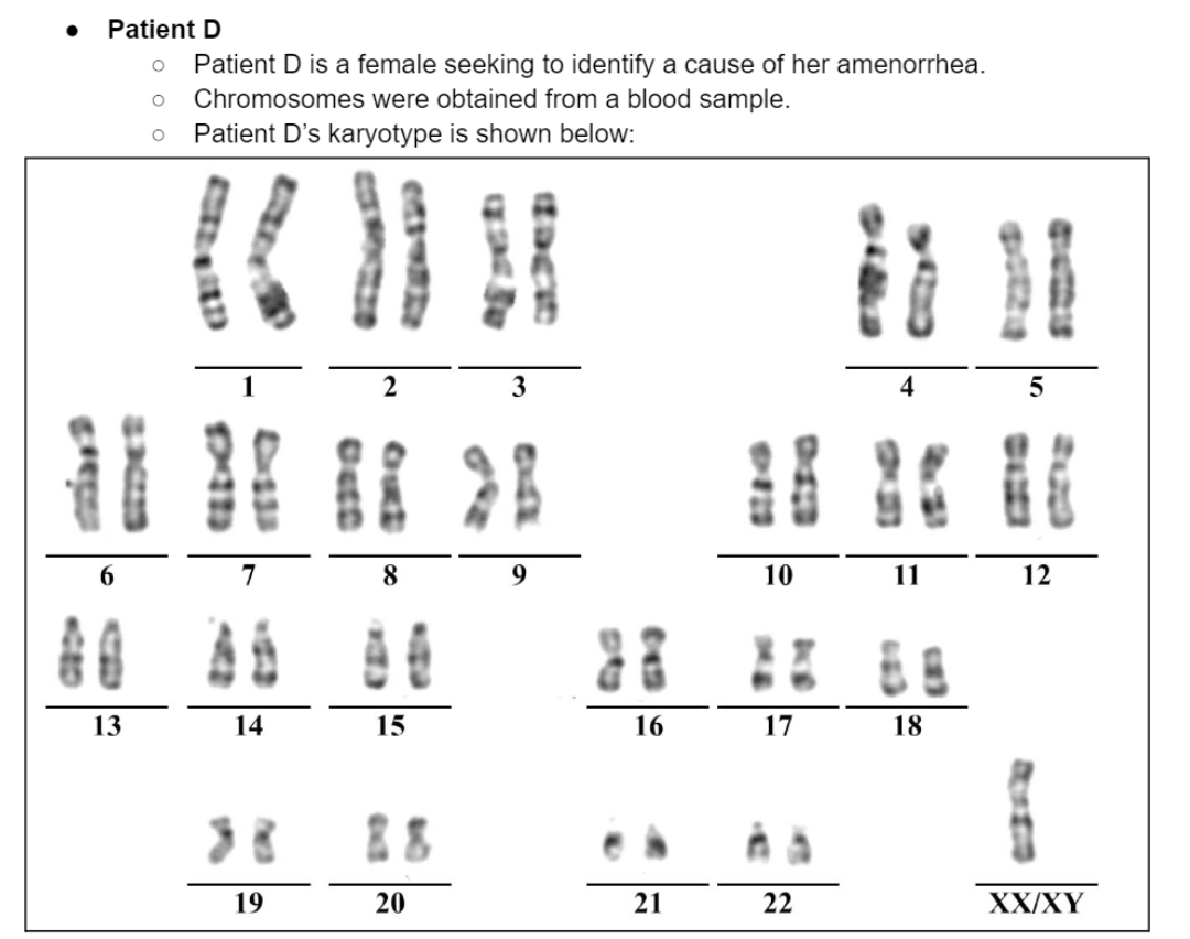 Solved What notation is used to characterize Patient | Chegg.com