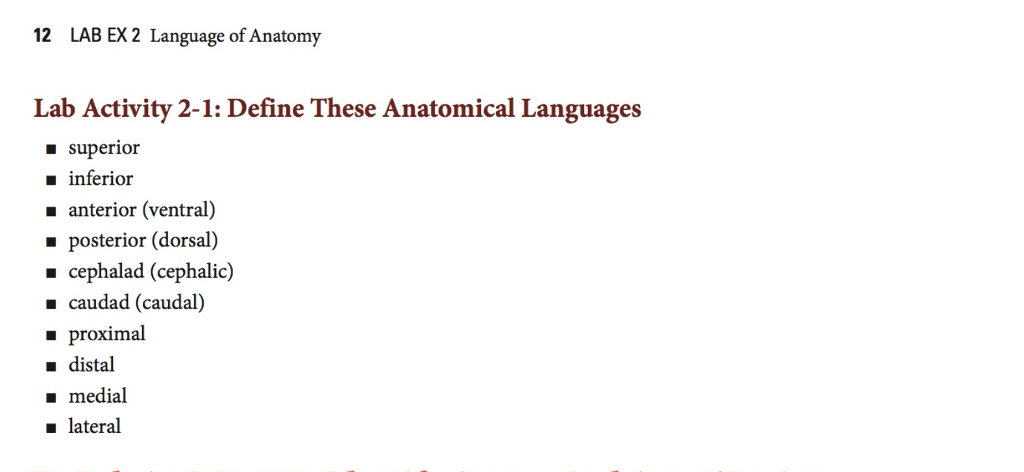 Solved 12 LAB EX 2 Language of Anatomy Lab Activity 2-1: | Chegg.com Solved 12 LAB EX 2 Language of Anatomy Lab Activity 2-1: | Chegg.com