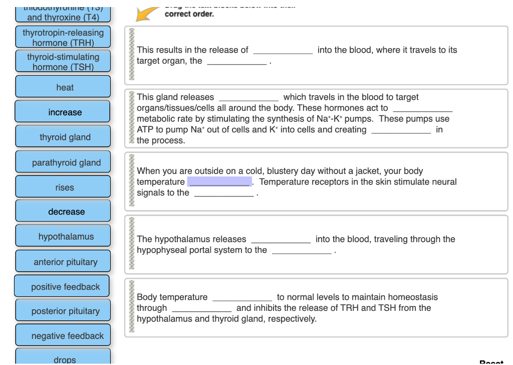 Solved Organize the statements from stimulus (at the top) to | Chegg.com