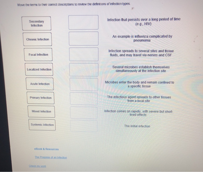 Solved Move the terms to their correct descriptions to | Chegg.com