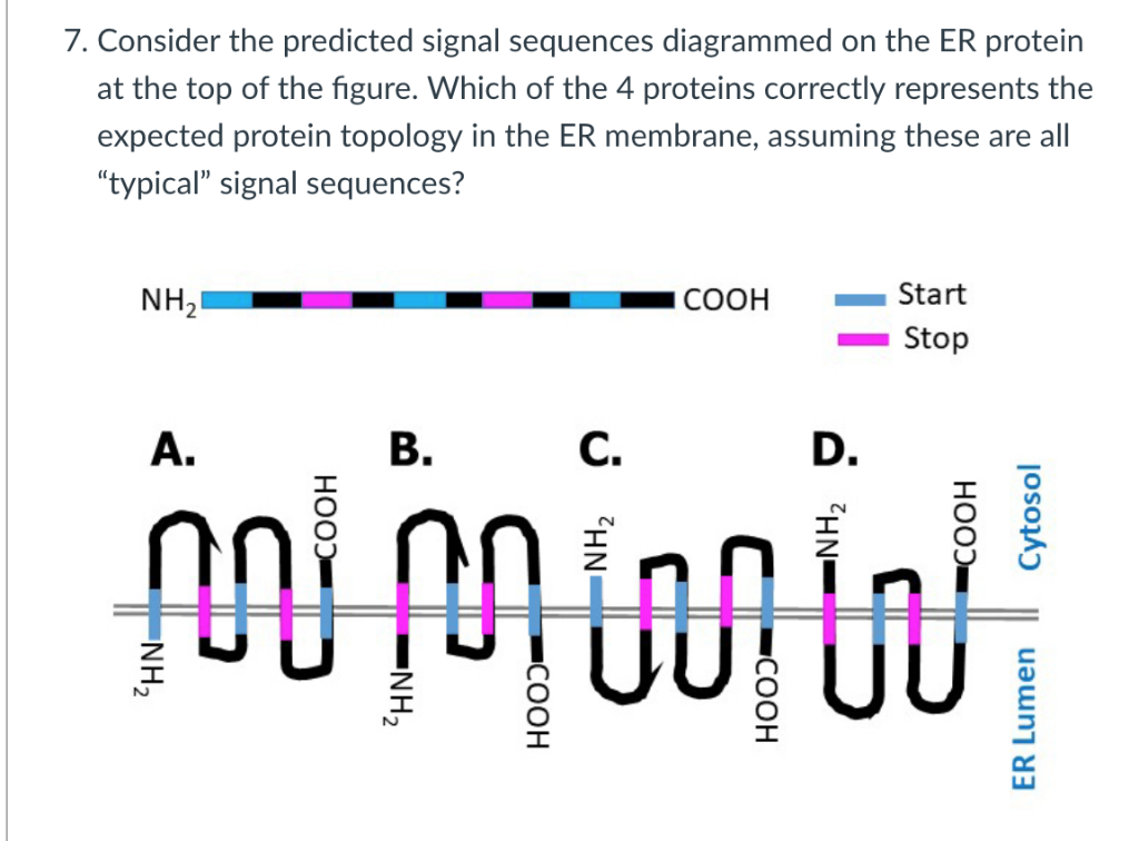 Solved 7. Consider the predicted signal sequences diagrammed | Chegg.com