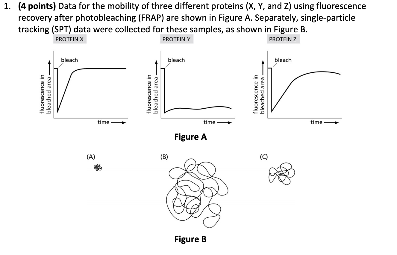 Solved 1. (4 points) Data for the mobility of three | Chegg.com