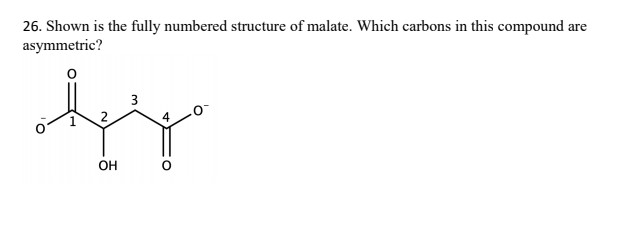 Solved 26. Shown is the fully numbered structure of malate. | Chegg.com