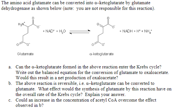 Solved The amino acid glutamate can be converted into α−k | Chegg.com