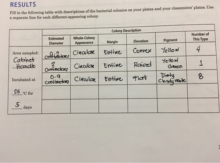 Solved RESULTS Fill in the following table with descriptions | Chegg.com