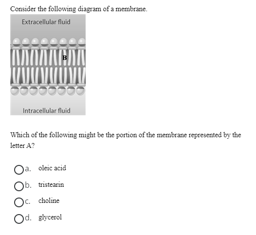 Solved In the following diagram, what type(s) of gradients | Chegg.com