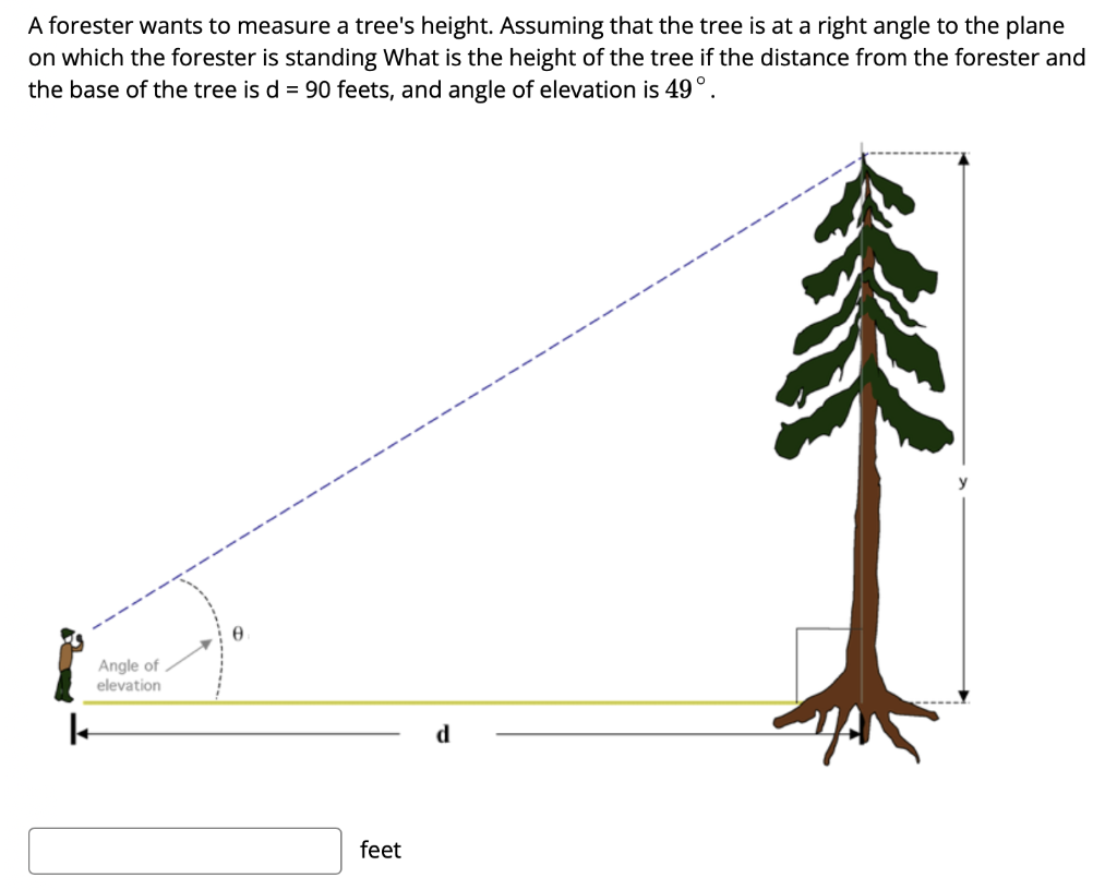 Solved A forester wants to measure a tree's height. Assuming | Chegg.com