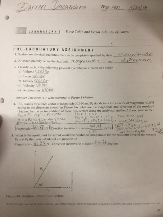 Solved Darren-Dacamera-mys 1401 의topt LABORATORY 3 Force | Chegg.com