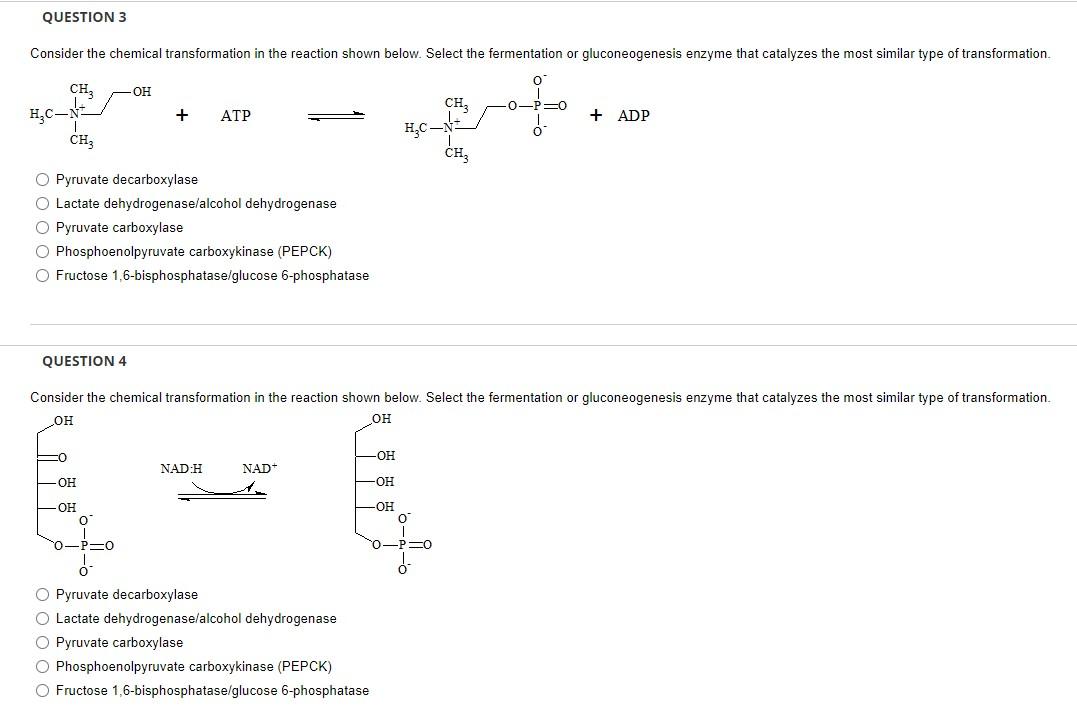 Solved I only need answers no need for explanation. Just | Chegg.com