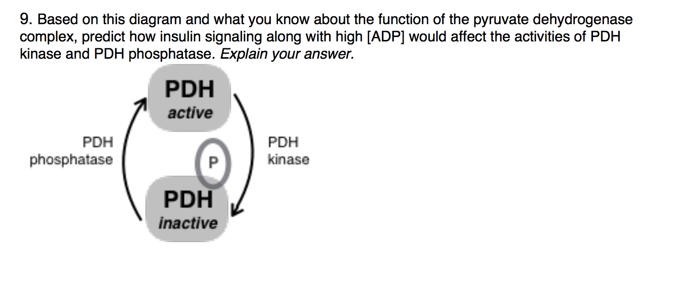 Solved 9. Based on this diagram and what you know about the | Chegg.com