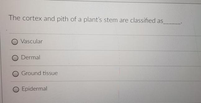 Solved The cortex and pith of a plant's stem are classified | Chegg.com