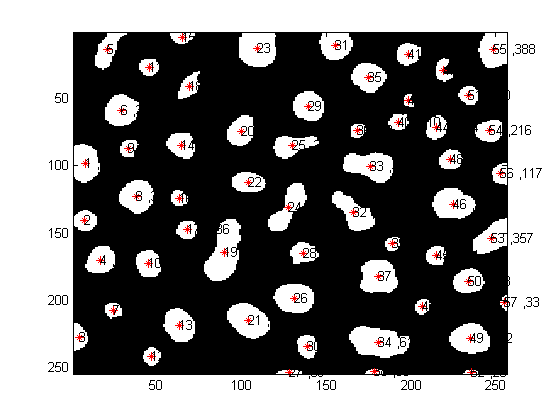 Solved Digital Image Processing python If you get the right | Chegg.com