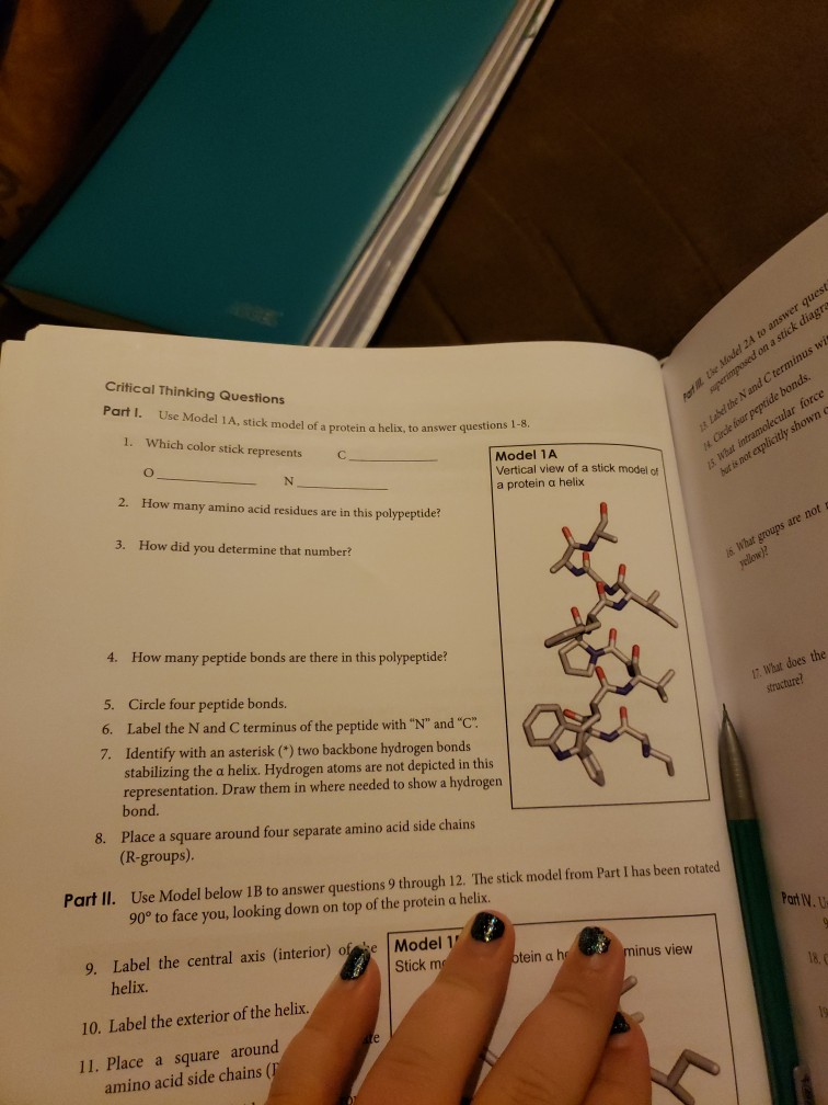 Solved how do I read this stick model in model 1a to answer | Chegg.com