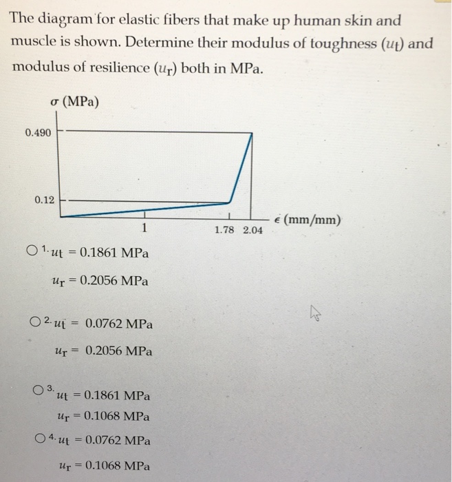 Solved The diagram for elastic fibers that make up human | Chegg.com