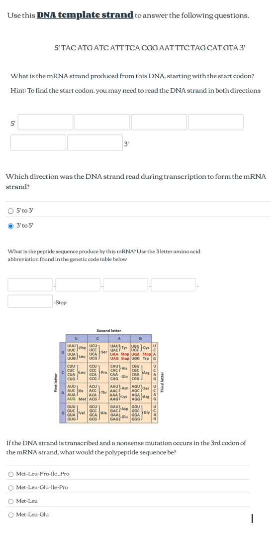 Solved Use this DNA template strand to answer the following | Chegg.com