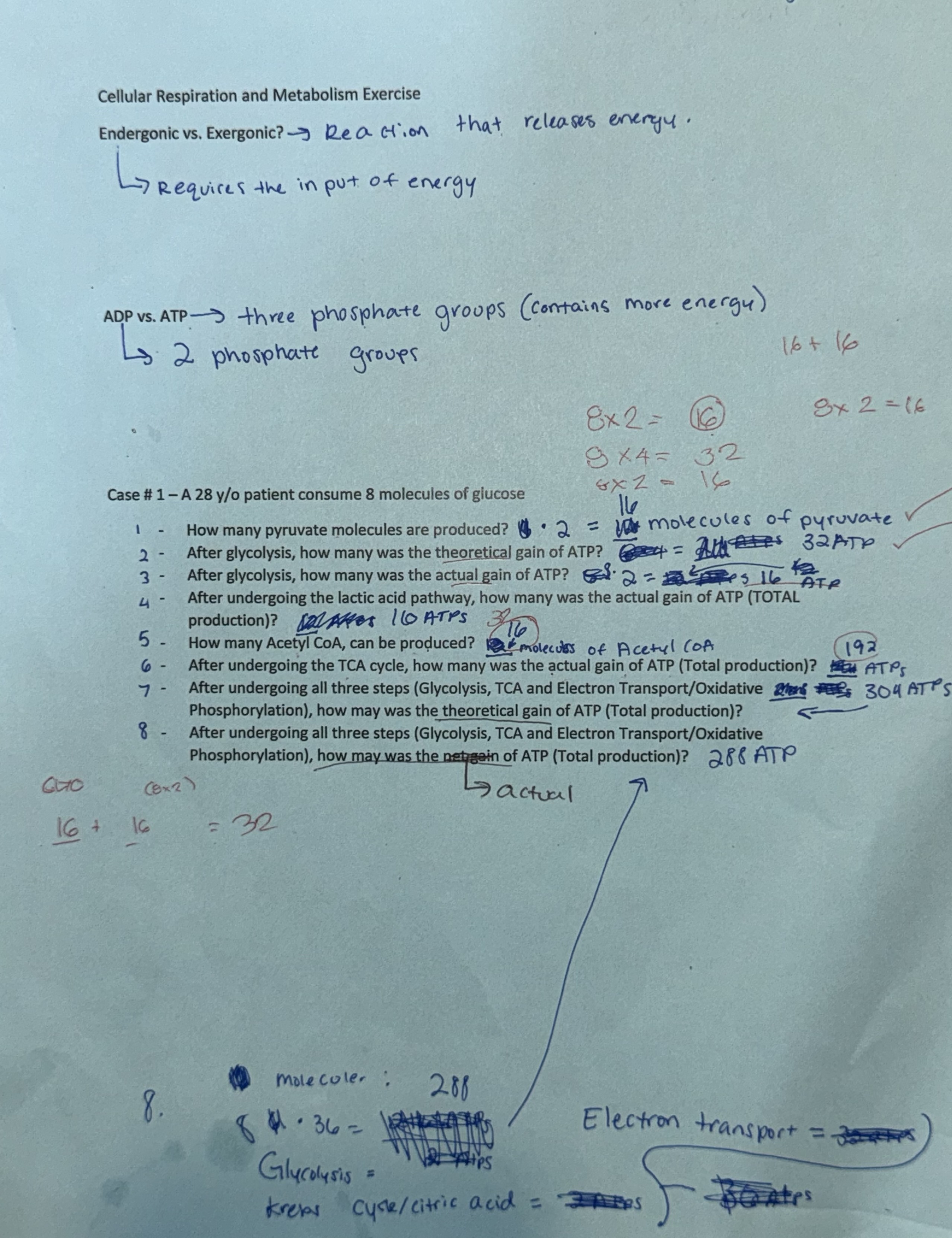 [Solved]: Cellular Respiration and Metabolism Exercise Ende