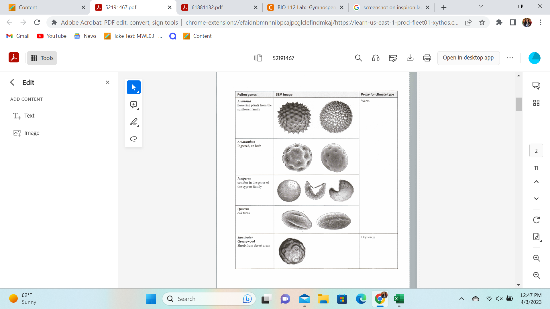 For this lab you will be using eight pollen samples | Chegg.com