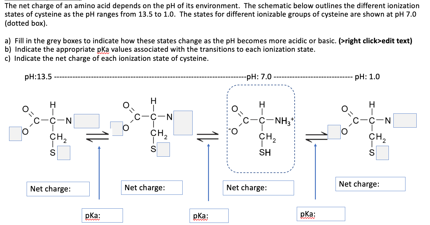 Solved The net charge of an amino acid depends on the pH of | Chegg.com