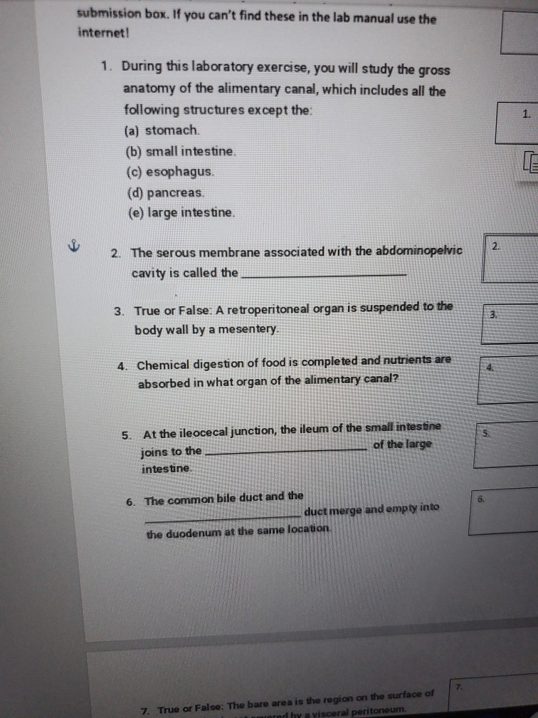 Solved submission box. If you can't find these in the lab | Chegg.com
