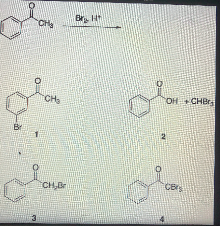 Solved H + CHBS CH2Bri CBI, | Chegg.com
