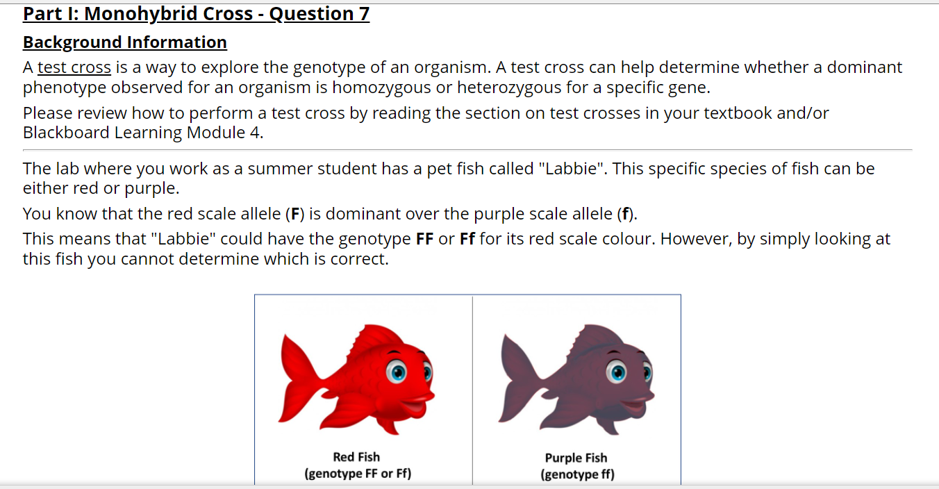 Solved Part 1: Monohybrid Cross - Question 7 Background | Chegg.com