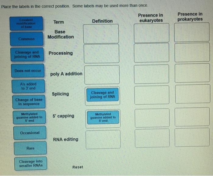 Solved Race the labels in the correct position Some labels | Chegg.com