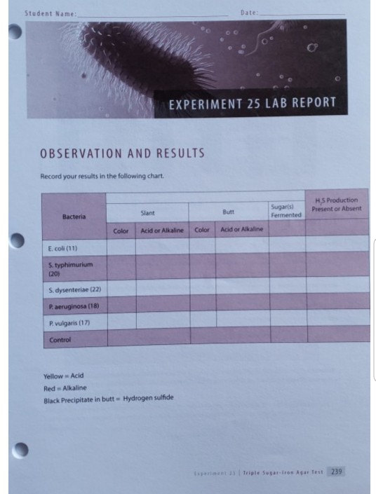 Solved Student Name: Date: EXPERIMENT 25 LAB REPORT | Chegg.com
