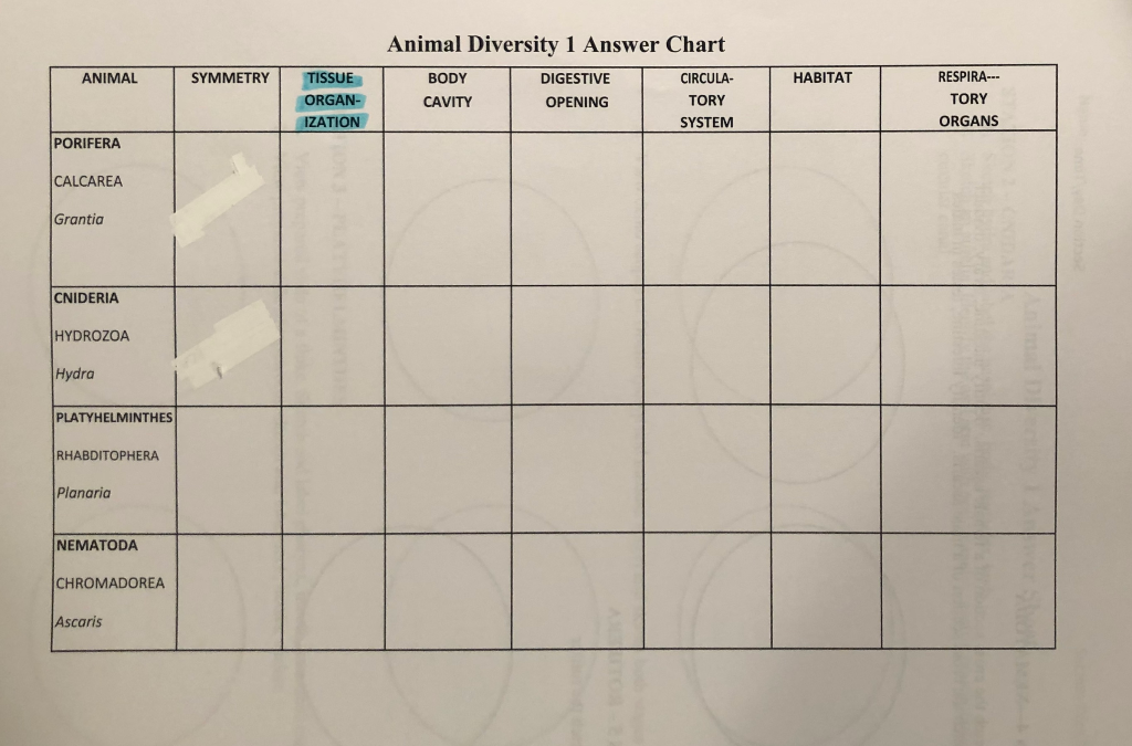 Solved ANIMAL SYMMETRY Animal Diversity 1 Answer Chart BODY | Chegg.com
