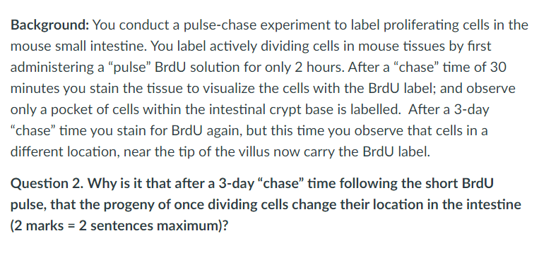 Solved Background: You conduct a pulse-chase experiment to | Chegg.com