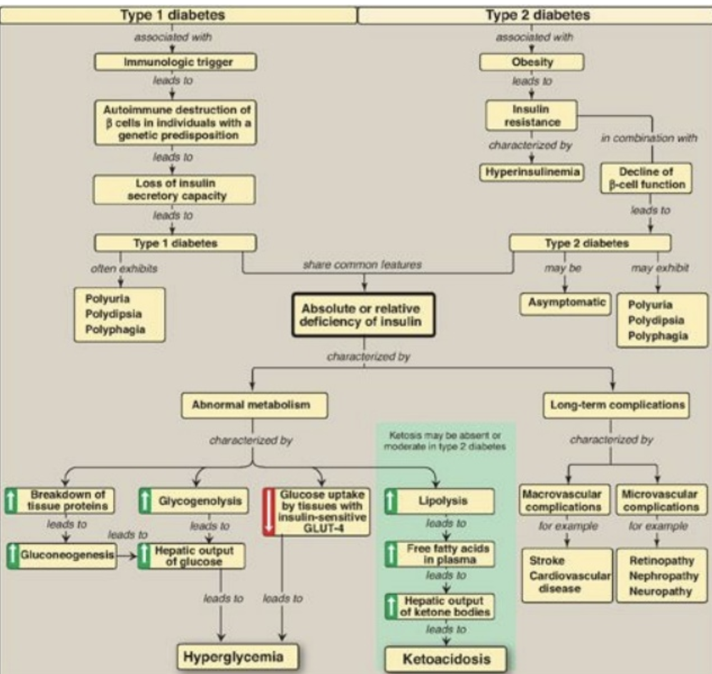 Solved By using the figure below differentiate between Type | Chegg.com